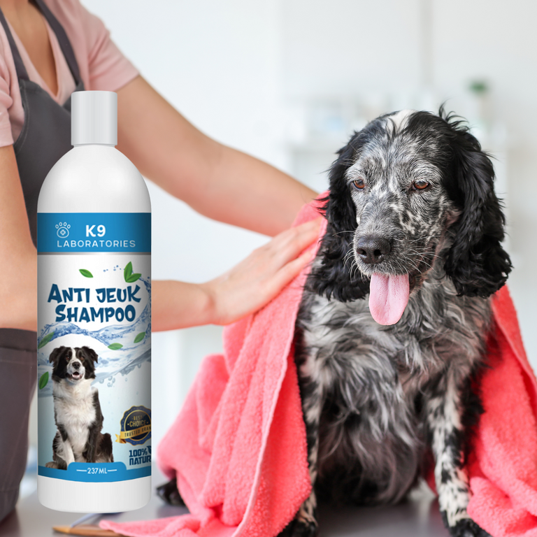 Anti-Jeuk Shampoo met Colloïdaal Havermout - Verzachtend & verzorgend ...